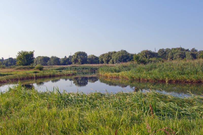 Nature in the Countryside. Lake, Meadow, Forest, Sky Stock Image ...