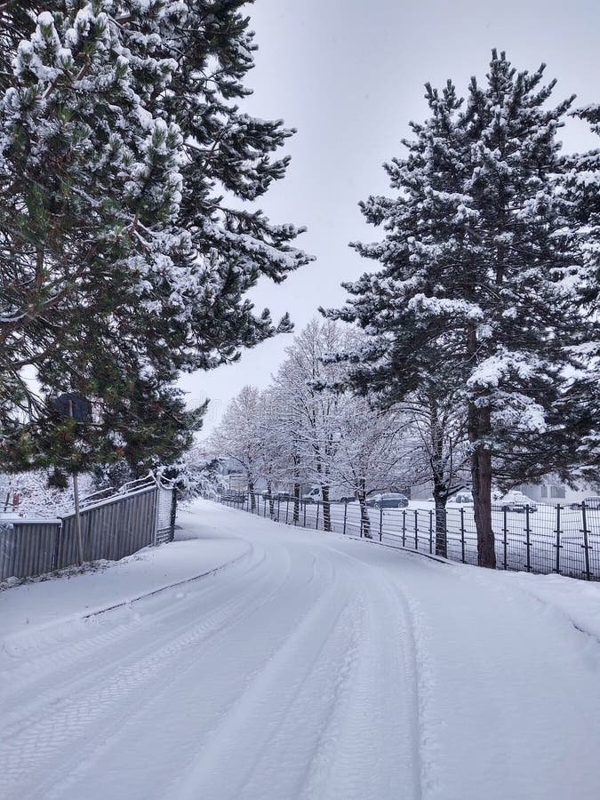Nature Covered Under the Snow during Cold Freezing Winter Stock Image ...