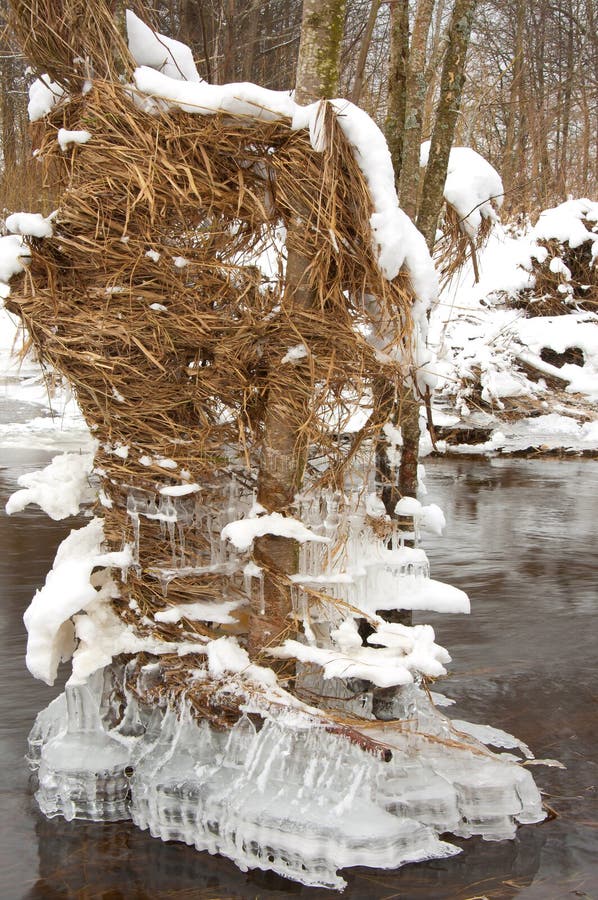 Nature creations stock photo. Image of abstract, plants - 35651856