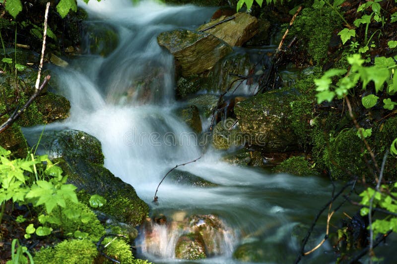 Nature Creek stock photo. Image of park, green, flowing - 27876656