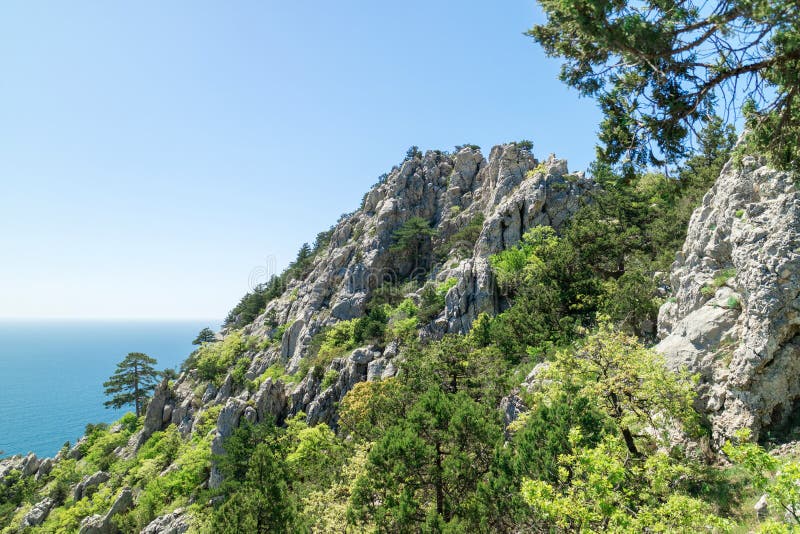 The Nature of the Crimean Peninsula Stock Image - Image of relic ...