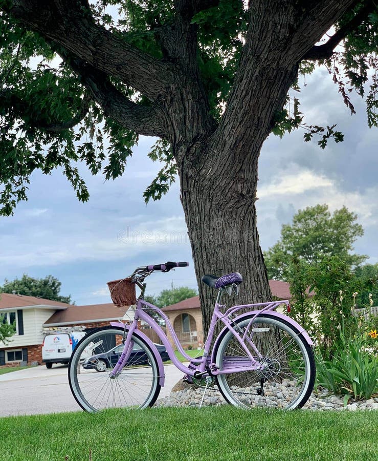 Tree cycle stock photo. Image of nature, freshness, environment - 191918632