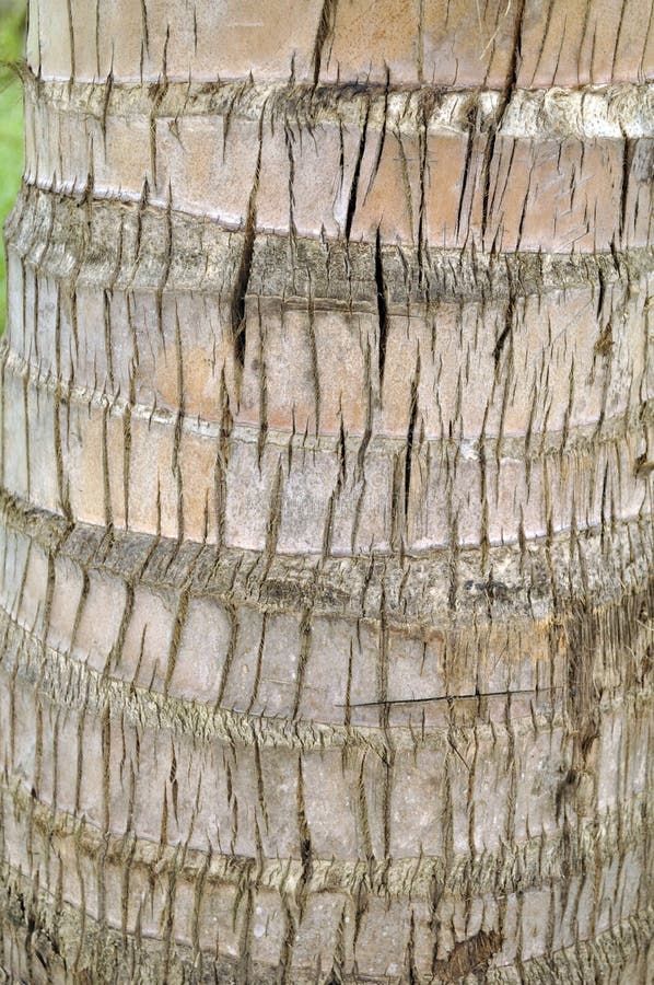 Nature in danger stock photo. Image of warming, disturbing - 75768014