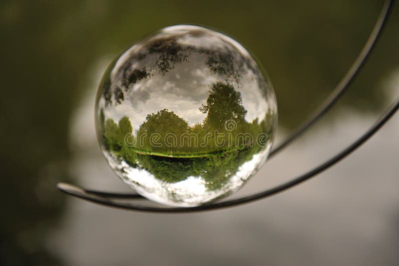526 Arbre Dans Une Bulle Photos libres de droits et gratuites de Dreamstime