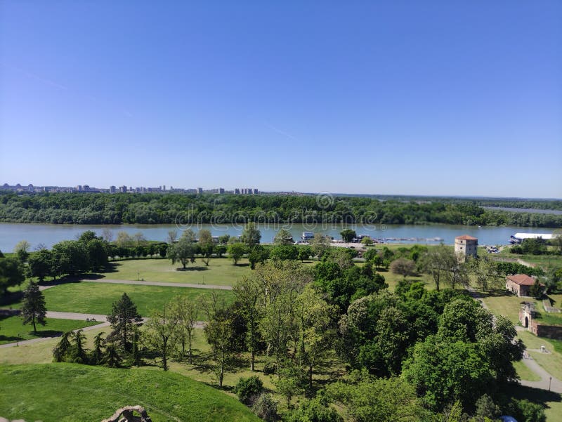 Nature Daylight River Three Forest Stock Image - Image of nature, river ...