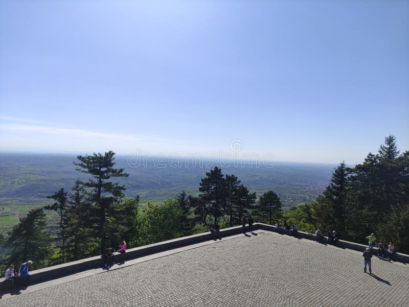 Nature Daylight Three Forest Editorial Stock Photo - Image of tree ...