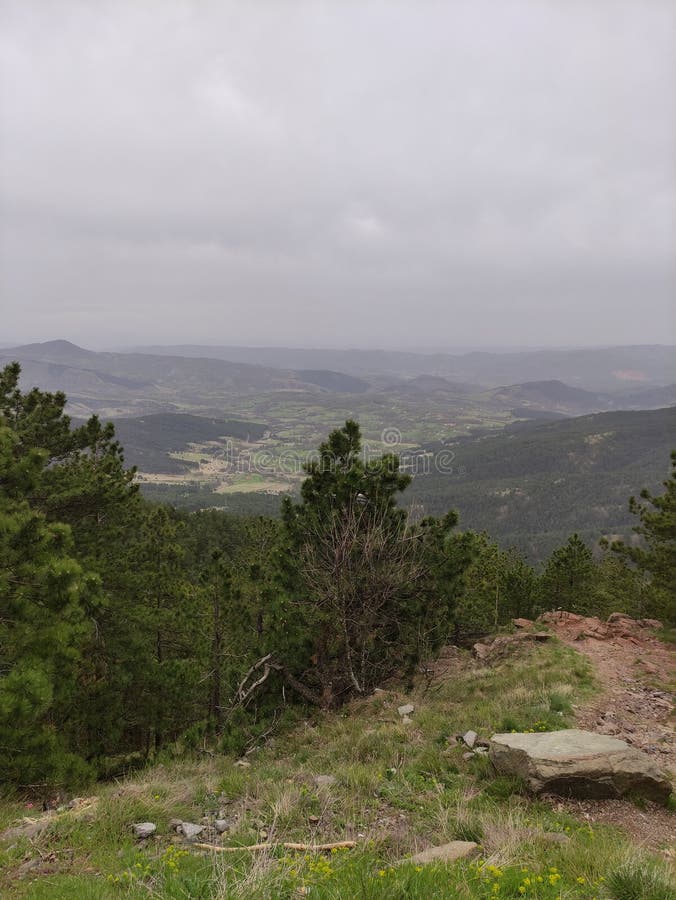 Nature Daylight Three Forest Stock Image - Image of soil, geology ...