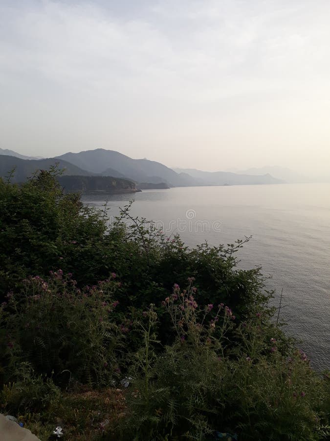 Nature stock photo. Image of morning, montagne, landscape - 91464270