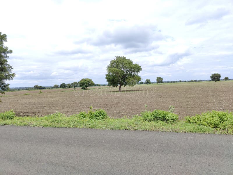 Nature is Defined As the Natural Earth One is the Tree Stock Image ...