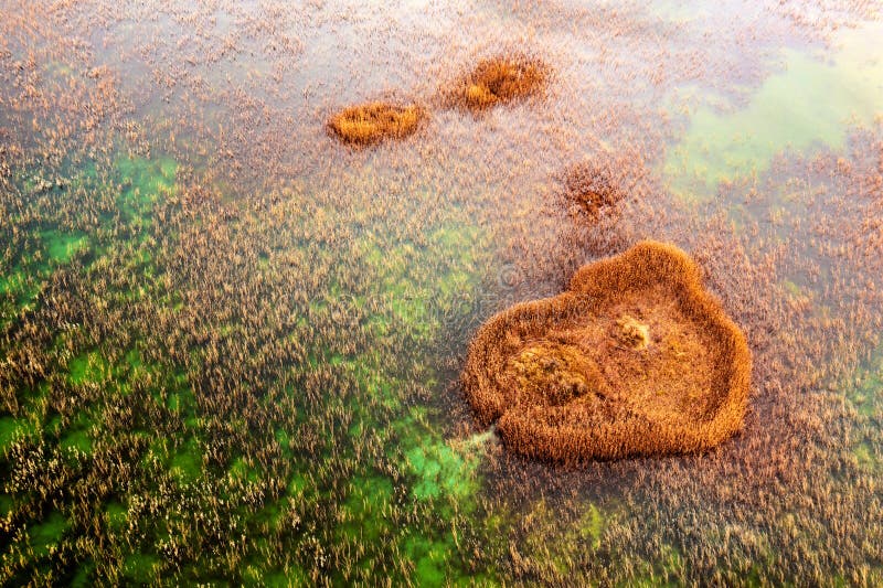 Nature is Destroyed by Toxic Emissions from Enterprises. Drone View ...