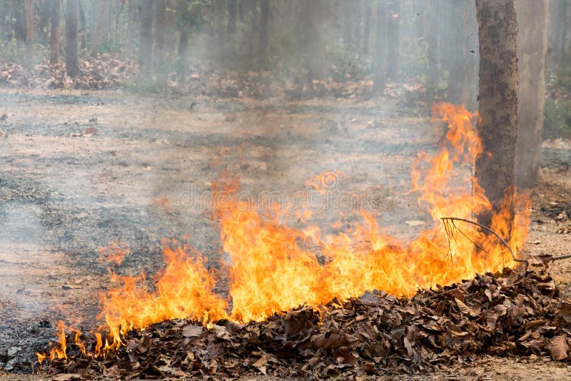 Nature disaster stock photo. Image of environment, devastation - 72067864