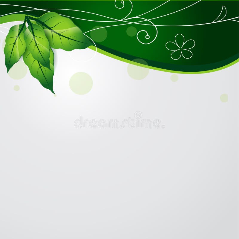 Spring Background with Green Leaves on Trendy White Background. Stock ...