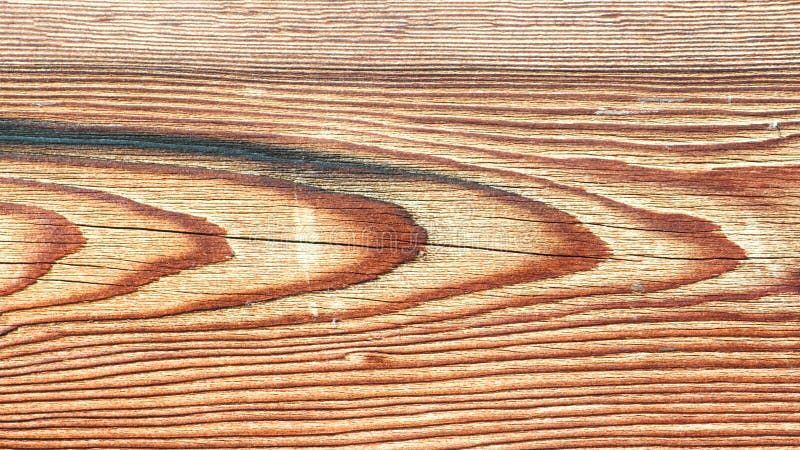 Nature Drawings on Mountain Wood Stock Photo - Image of forest ...