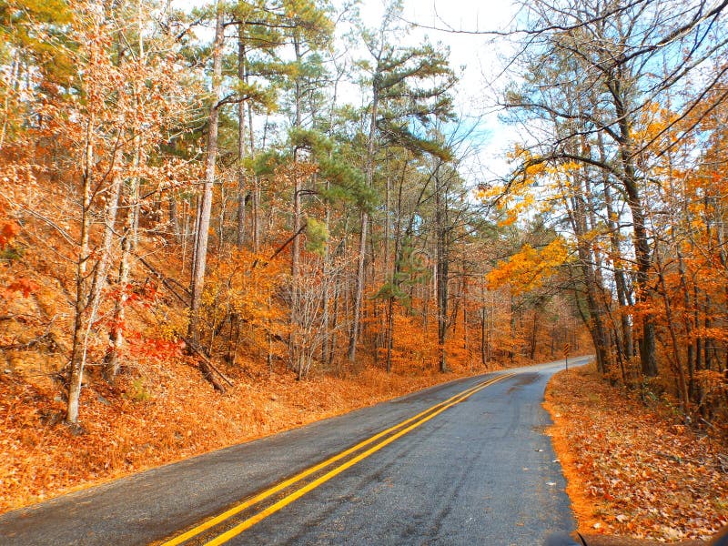 Arkansas Woods stock photo. Image of ozark, woods, mountains - 121788502
