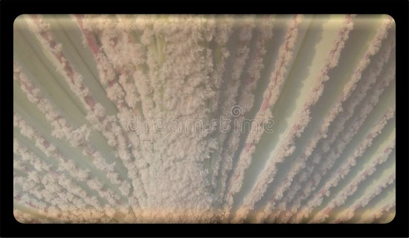 Nature Dull Textured Background Template, Abstract Info Graphics ...