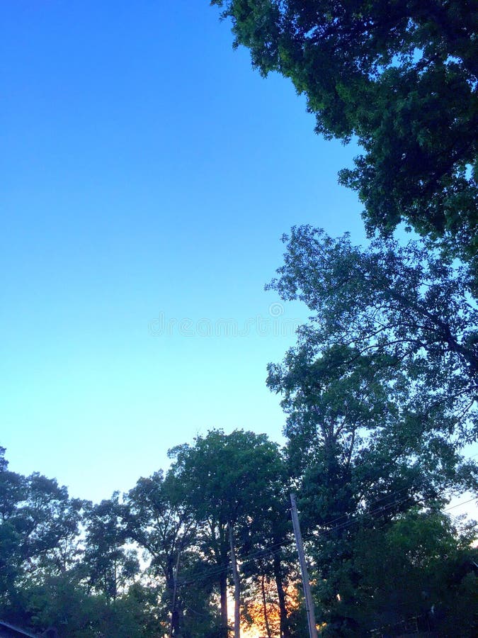 Nature at dusk stock photo. Image of dusk, trees, nature - 93106736