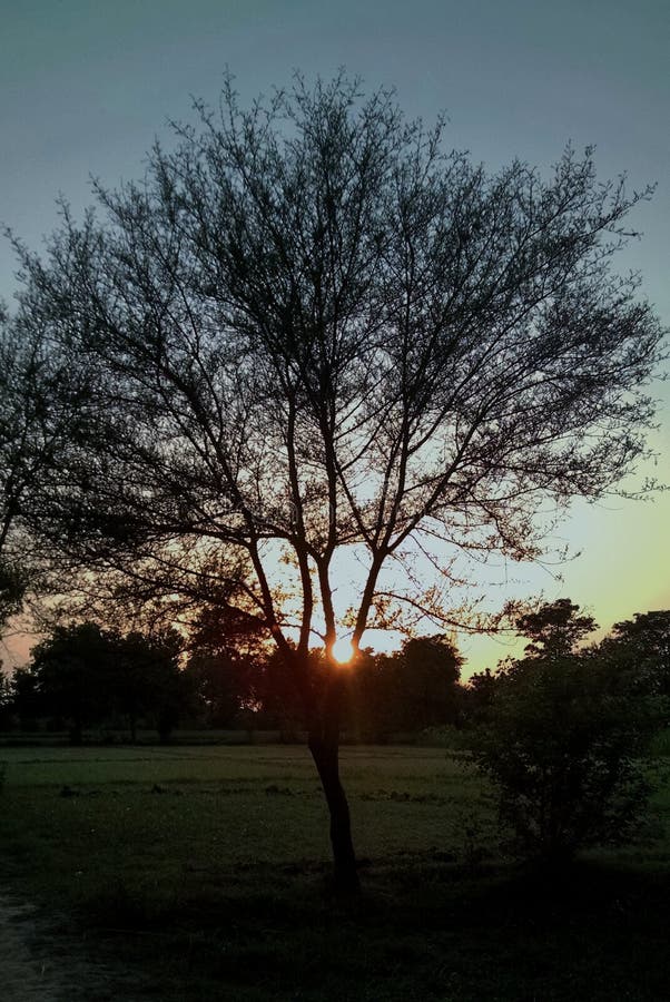 Nature & the Dying Sun ! Stock Image - Image of village ...