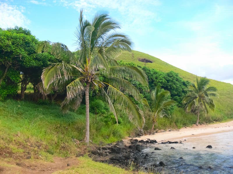 Nature of Easter Island, Landscape, Vegetation and Coast Stock Photo ...