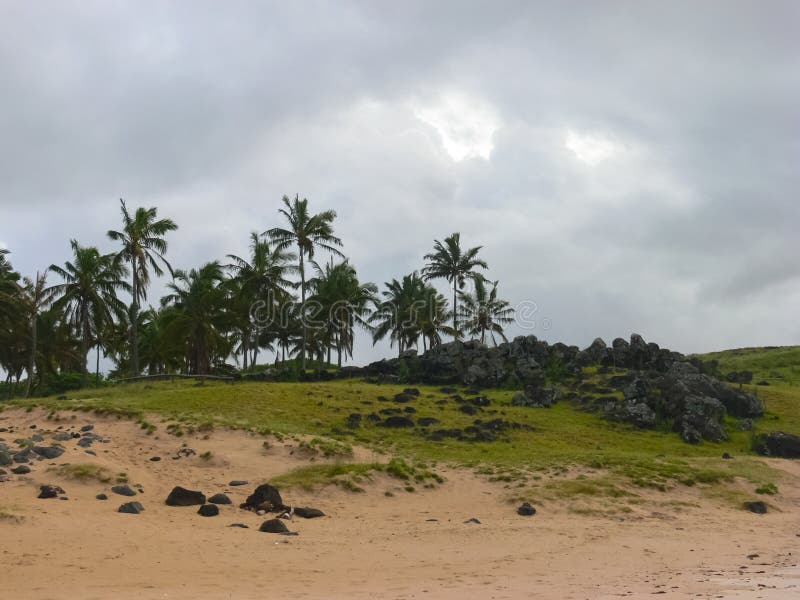 Nature of Easter Island, Landscape, Vegetation and Coast Stock Image ...