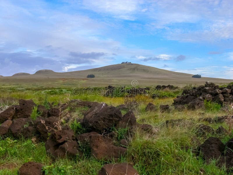 Nature of Easter Island, Landscape, Vegetation and Coast Stock Image ...