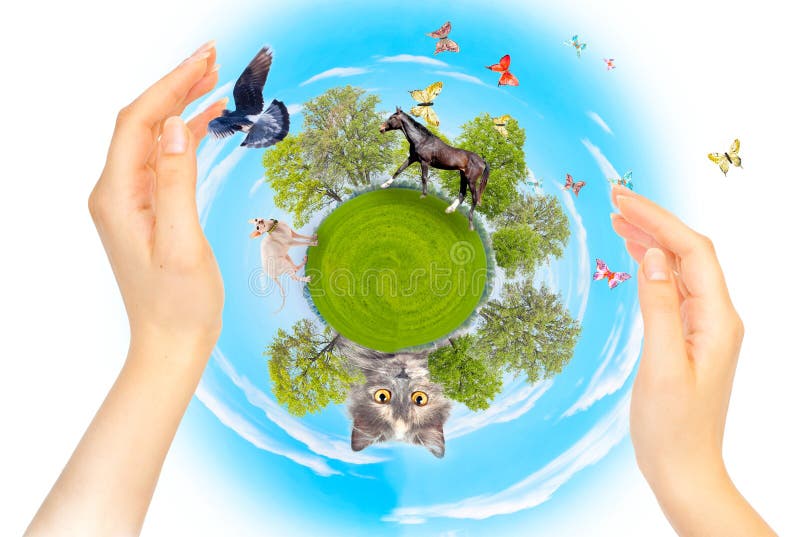 Nature, Ecology and Different Animals Protection Stock Image - Image of ...