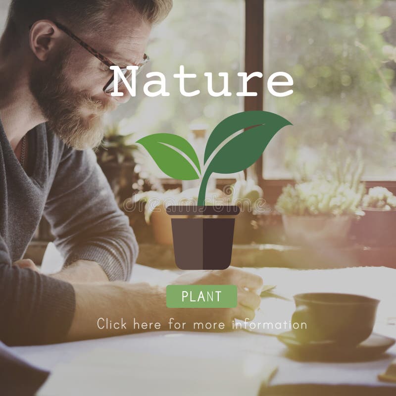 Nature Ecology Environmental Conservation Natural Concept Stock Photo ...