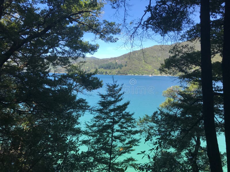 Nature, Ecosystem, Nature Reserve, Tree Stock Image - Image of tree ...