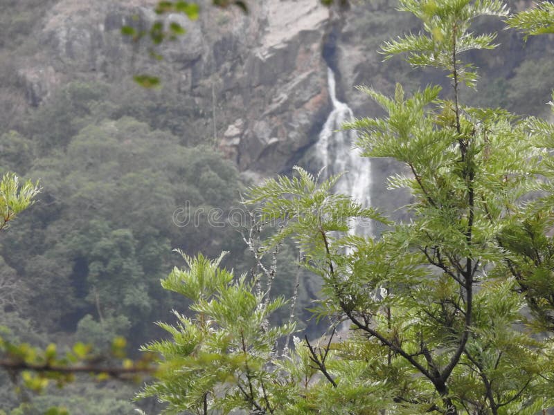 Nature S Healing through Own Resources. Stock Image - Image of human ...
