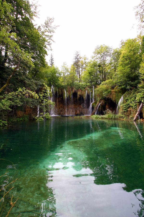 Nature en vert photo stock. Image du bois, brouillard - 3166280