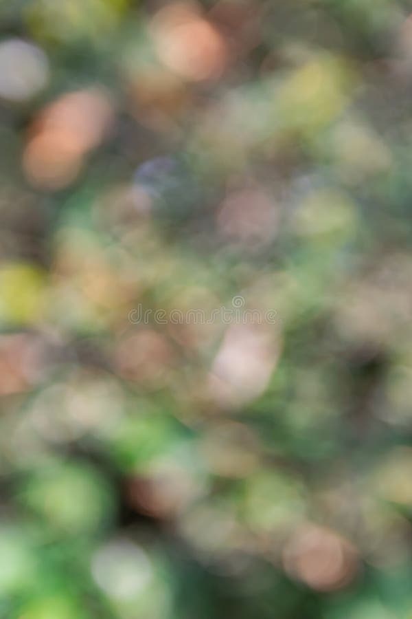 Nature,environment,parks,forests and Texture Concept. Stock Image ...