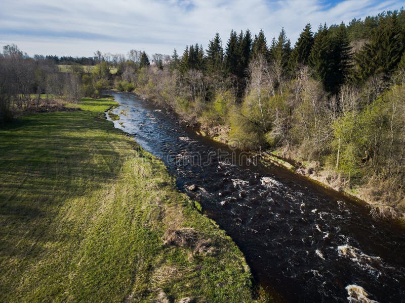 Nature of Estonia. the Pirita River Flows through the Forest in Spring ...