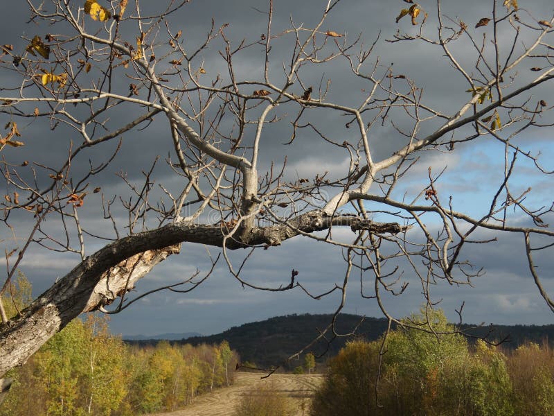 Nature Expression 10 stock photo. Image of winter, landscape - 204103118