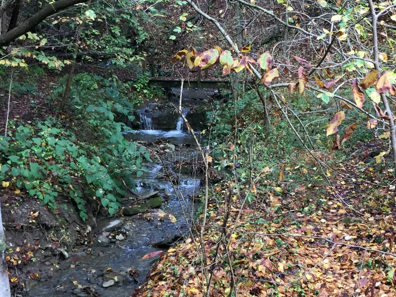 Nature stock image. Image of park, watefall, wheeling - 79244685