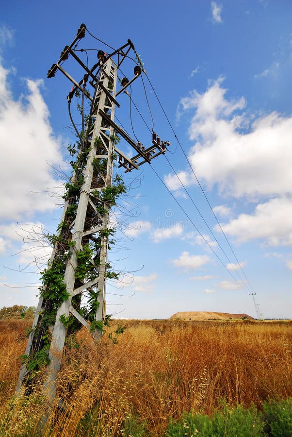 Nature Fights Back (Concept) - Stock Photo - Image of powerline, field ...