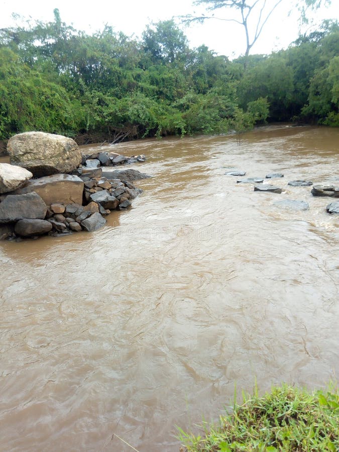 Nature stock image. Image of full, water, nature, stream - 171316841