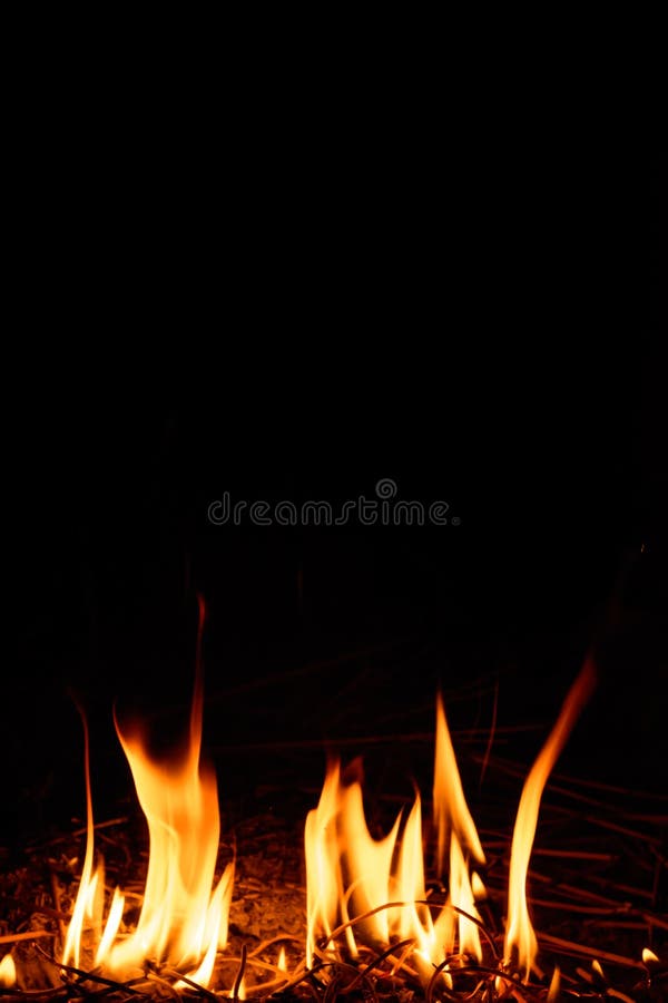 Nature Fire Flames at Dark Night. Stock Photo - Image of burning ...