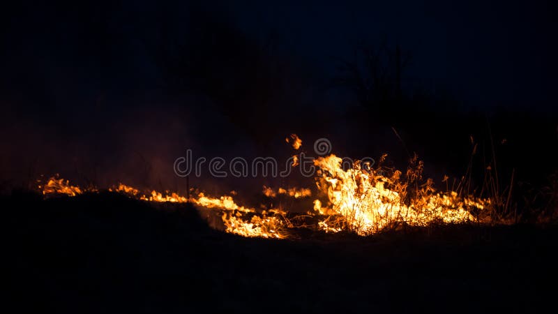 Nature on Fire, Night Shot. Arson and Fire, Disaster and Extreme Events ...