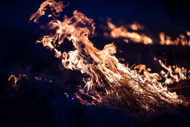 Nature on Fire, Night Shot. Arson and Fire, Disaster and Extreme Events ...