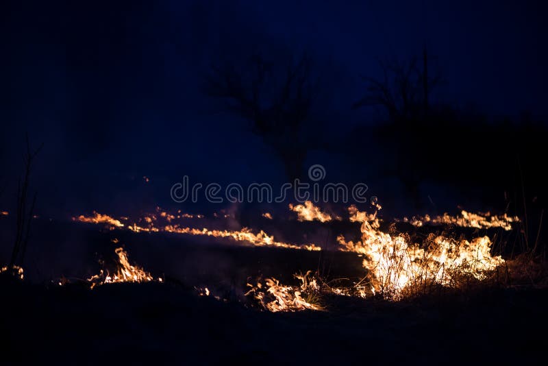 Nature on Fire, Night Shot. Arson and Fire, Disaster and Extreme Events ...