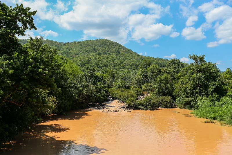 Nature Flash Flood in Forest. Stock Photo - Image of tree, nature: 93489828