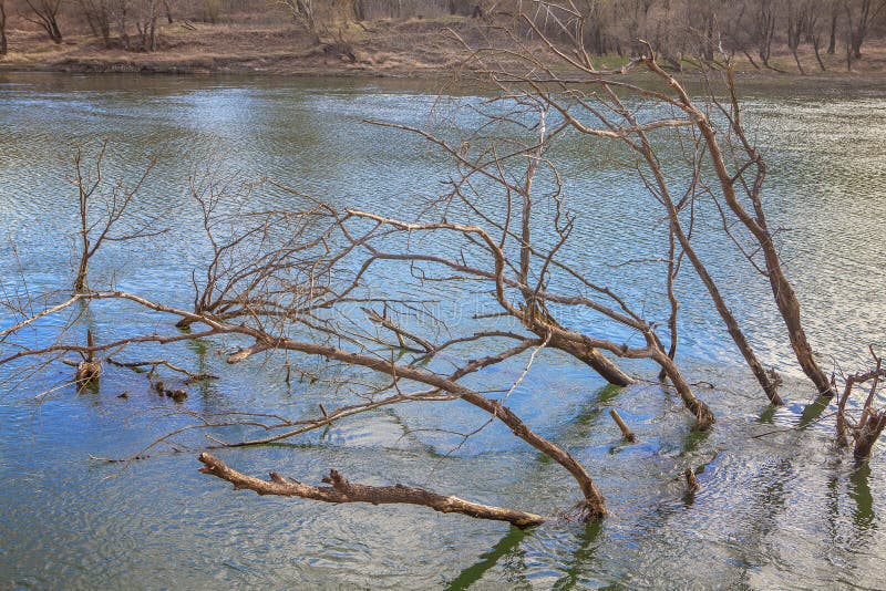 Nature after flood stock photo. Image of deep, natural - 89286804
