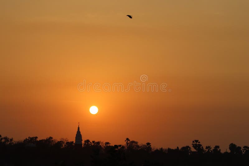 A Nature with a Flying Bird and Sun Stock Photo - Image of tropical ...