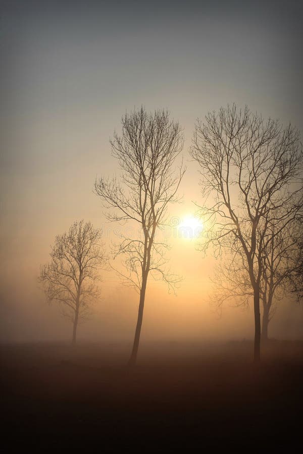 Nature and fog stock photo. Image of blue, landscape - 29573504