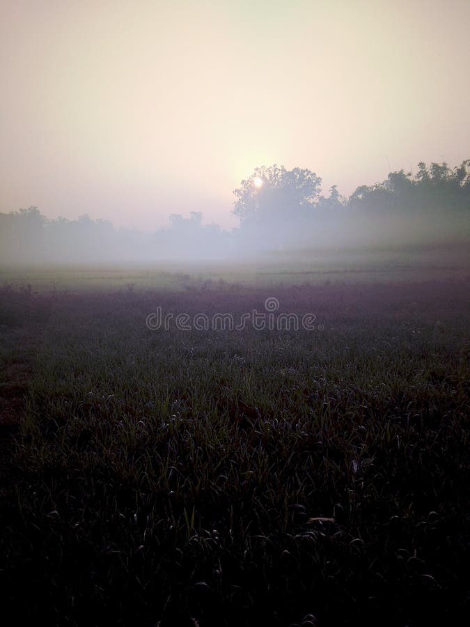 The Nature Fog Cloud Appearing in Morning Stock Image - Image of ...