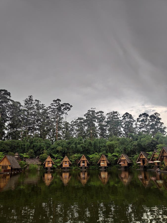 Nature forest bandung stock image. Image of plant, water - 203195609