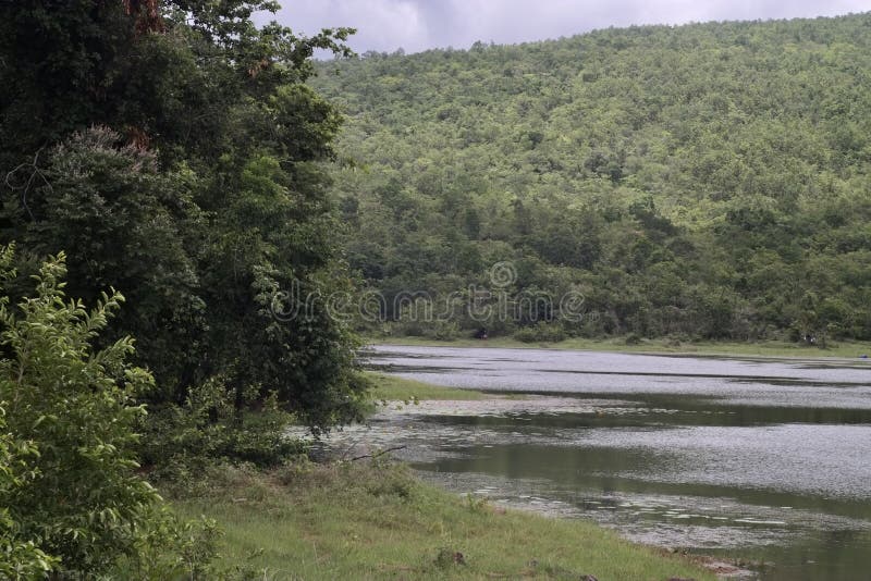 Nature Forest Sky Reservoir Stock Photo - Image of lake, island: 236808156