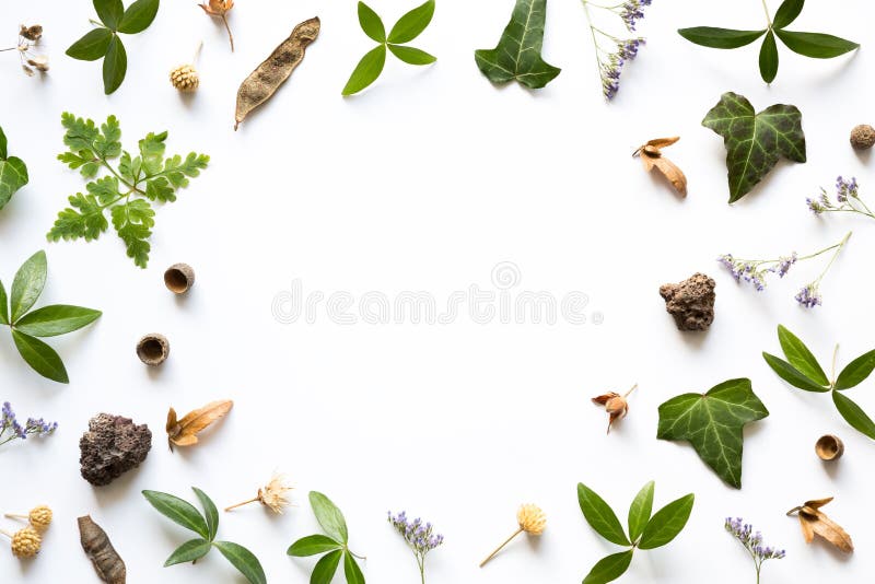 Nature Frame stock photo. Image of background, decoration - 86083704