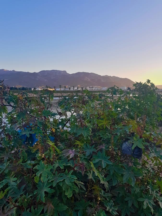 Nature in Front of the Valley and in the Background Mountains in the ...