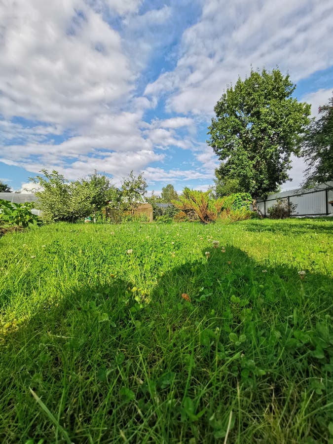Nature, Garden, Countryside Stock Photo - Image of lawn, grass: 194529520