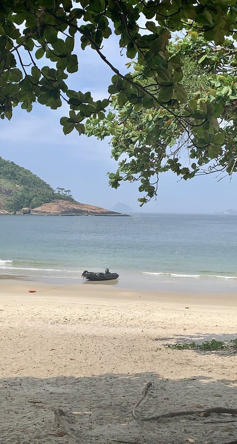 Beach stock photo. Image of view, tree, beach, garden - 198542102